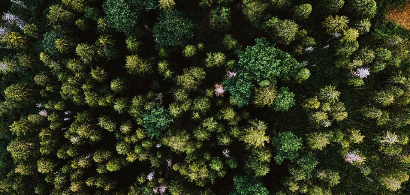 Modal: Interessante Informationen über den besonderen Stoff